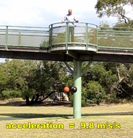 Shedding Light on Motion Episode 5: Graphing Free Fall - LIACOS ...